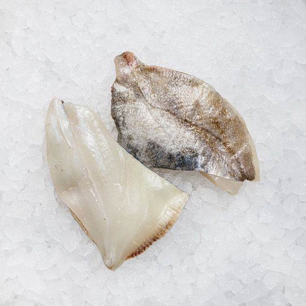 John Dory Fillets Online | Rick Stein